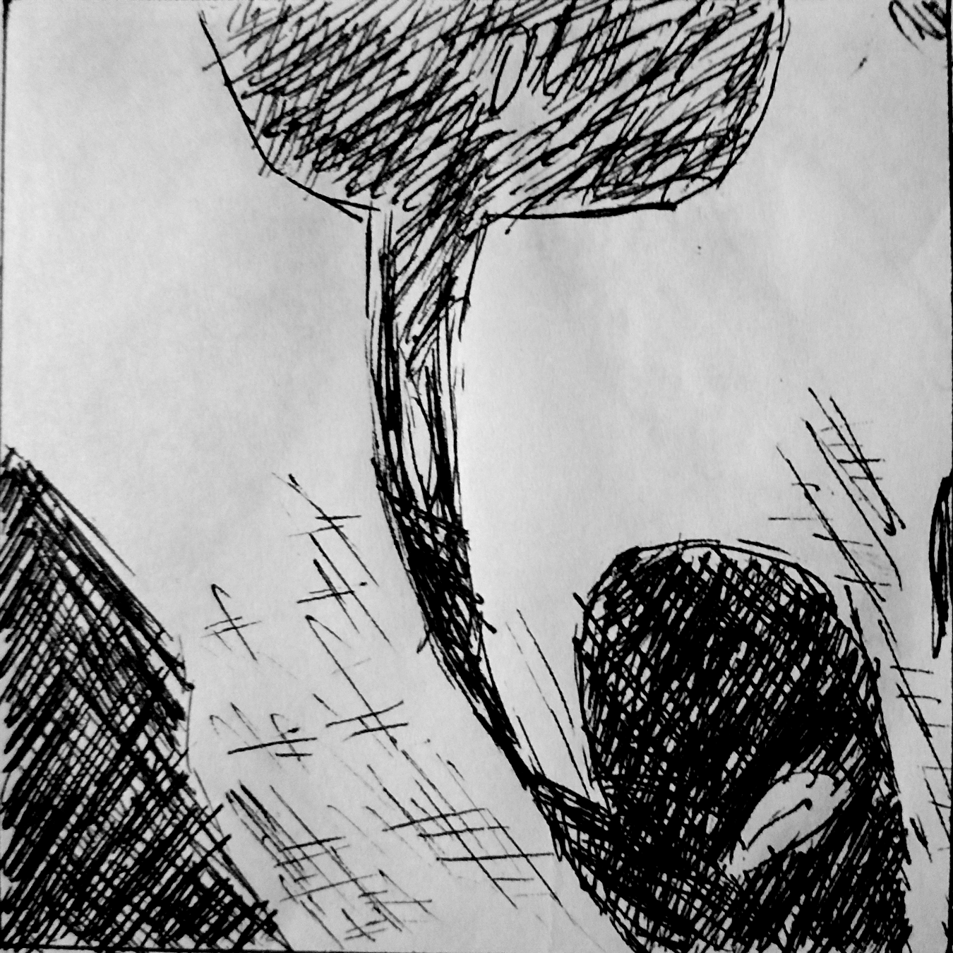 plano_de_luz - Patricio Gigoux - MID 2021